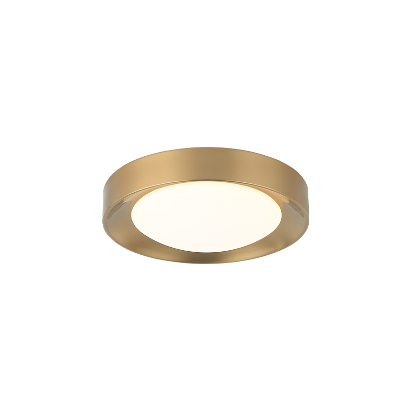 LED Steel Frame with White Glass Diffuser Flush Mount – LV LIGHTING